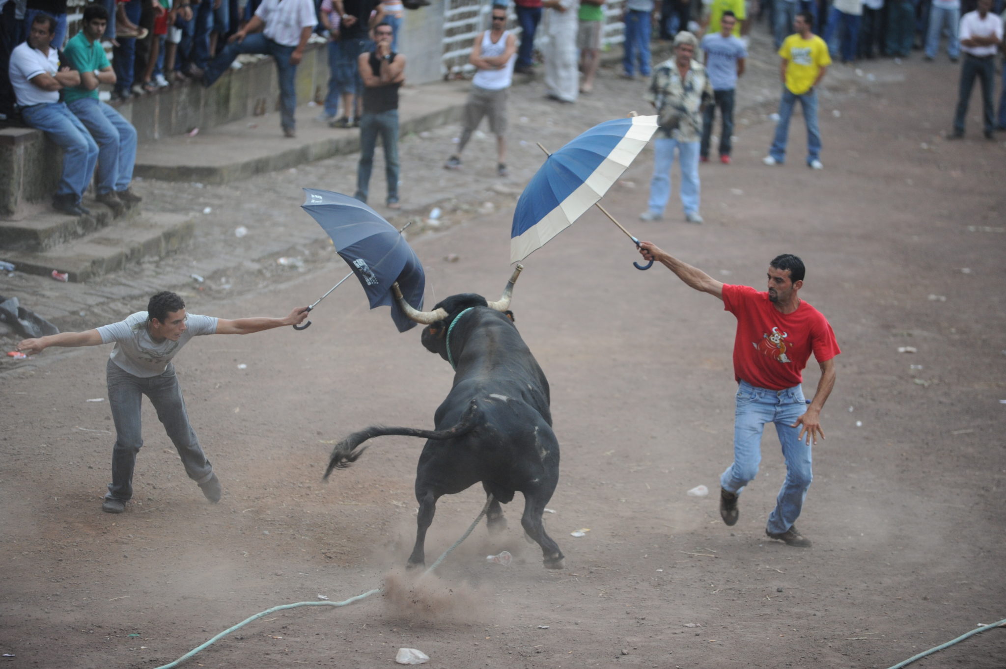Rope bullfighting in Terceira Azores - Explore Terceira