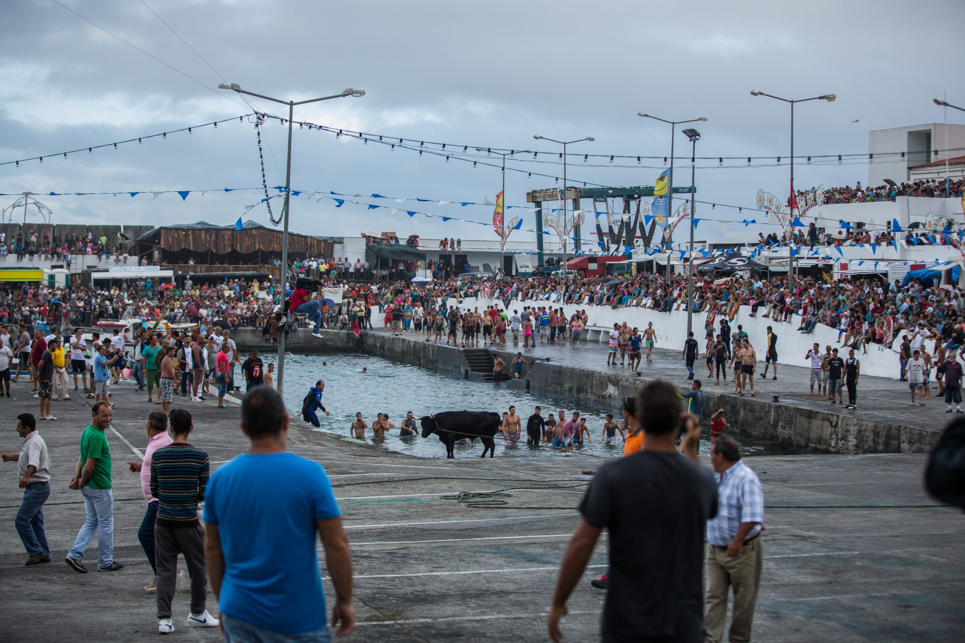 Rope bullfighting in Terceira Azores - Explore Terceira