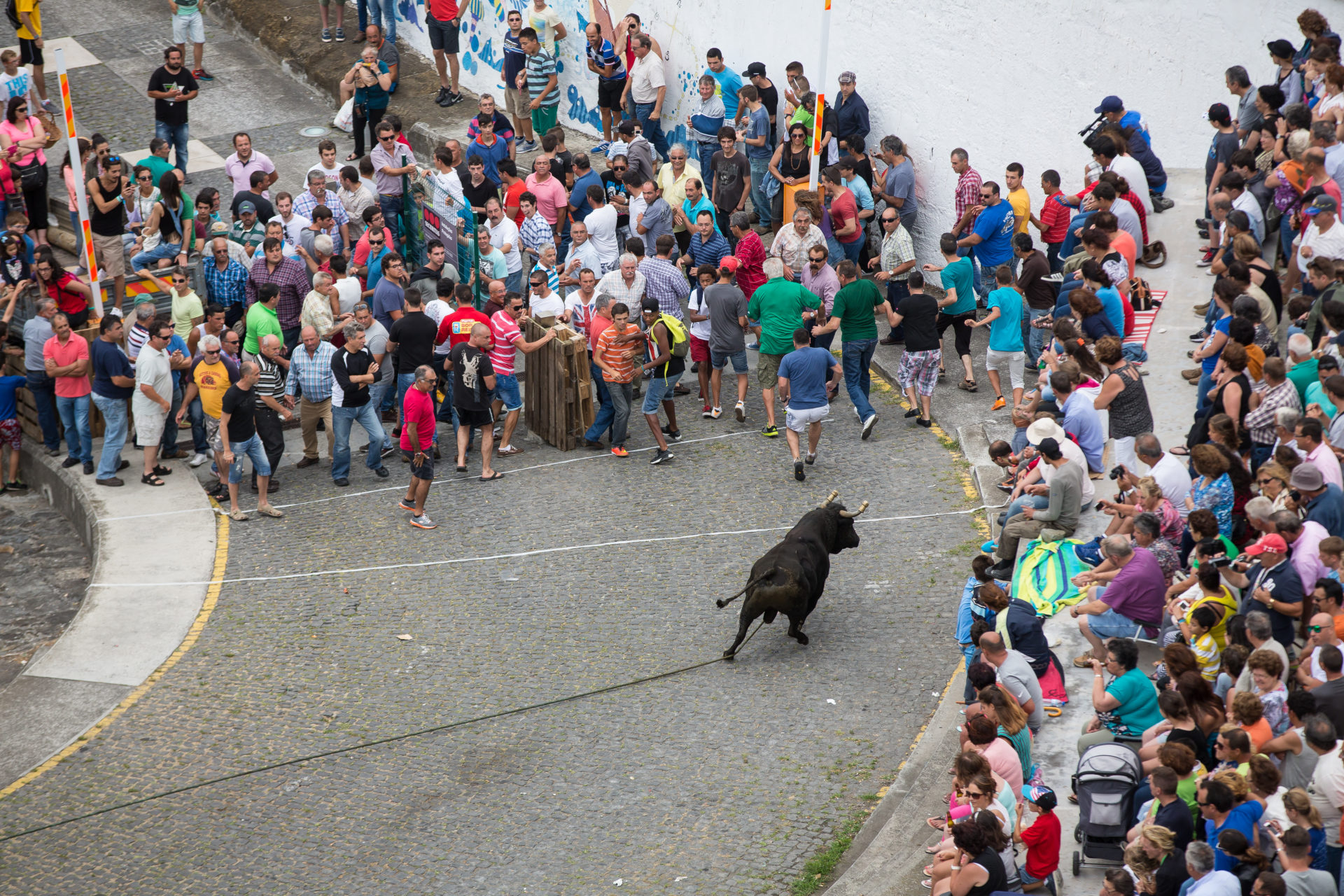 Rope bullfighting in Terceira Azores - Explore Terceira