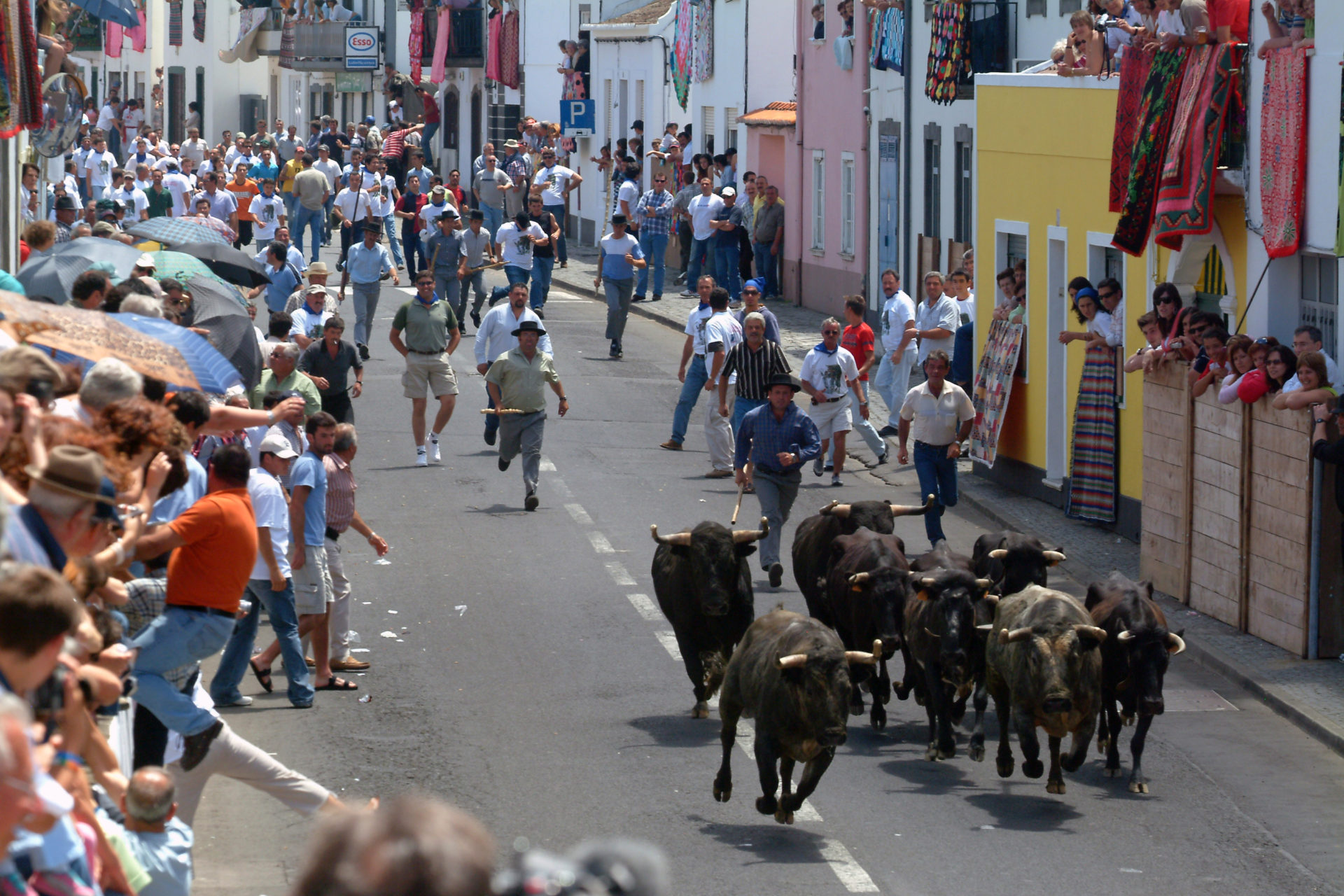 Touradas à corda - Explore Terceira