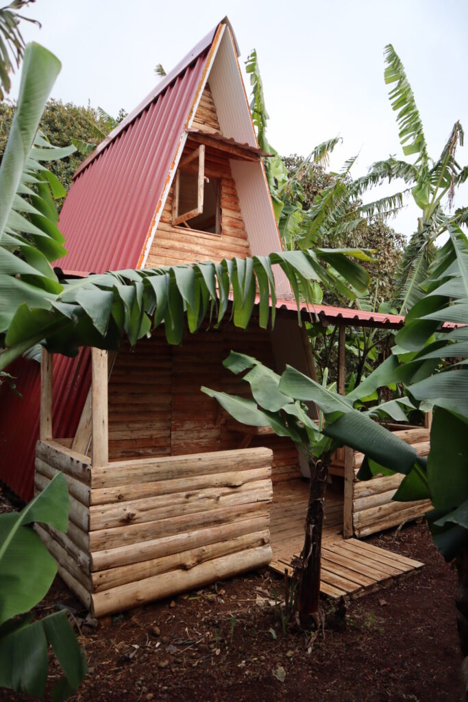 Banana Eco Camp - Explore Terceira